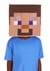 Steve Minecraft Block Head