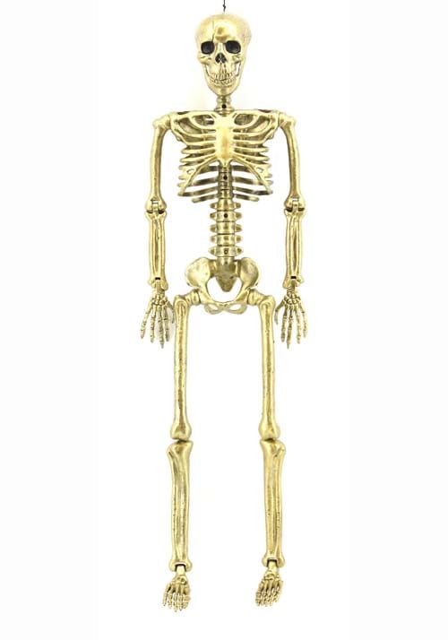 Gold 24" Skeleton