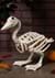 15-Inch Skeleton Duck Halloween Prop | Animal Skeletons