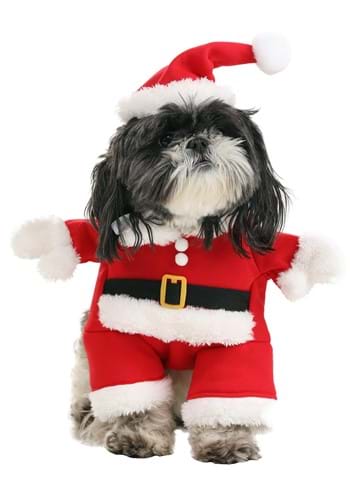 Classic Santa Pet Costume | Holiday Pet Costumes
